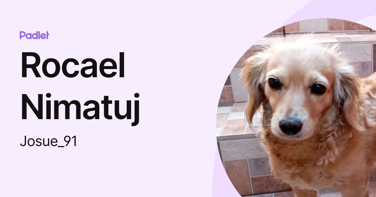 Rocael Nimatuj (Josue_91) profile | Padlet