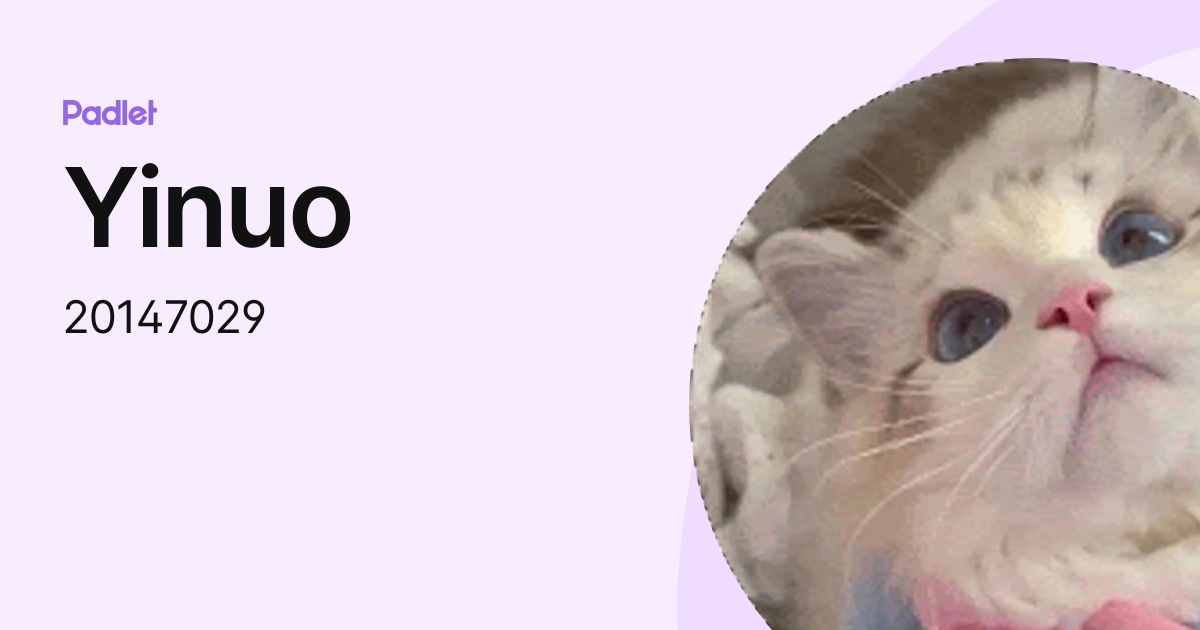 Yinuo (20147029) profile | Padlet