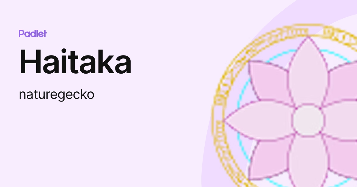 Haitaka (naturegecko) profile | Padlet