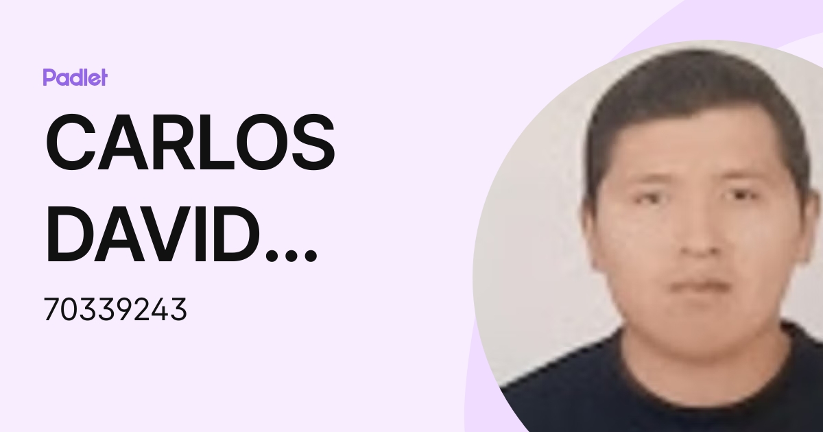 CARLOS DAVID CASTILLO ARI (70339243) profile | Padlet