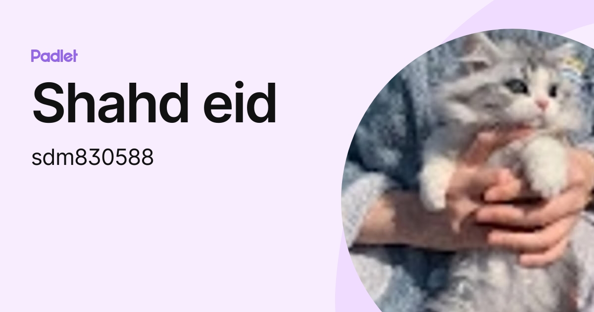 Shahd eid (sdm830588) profile | Padlet