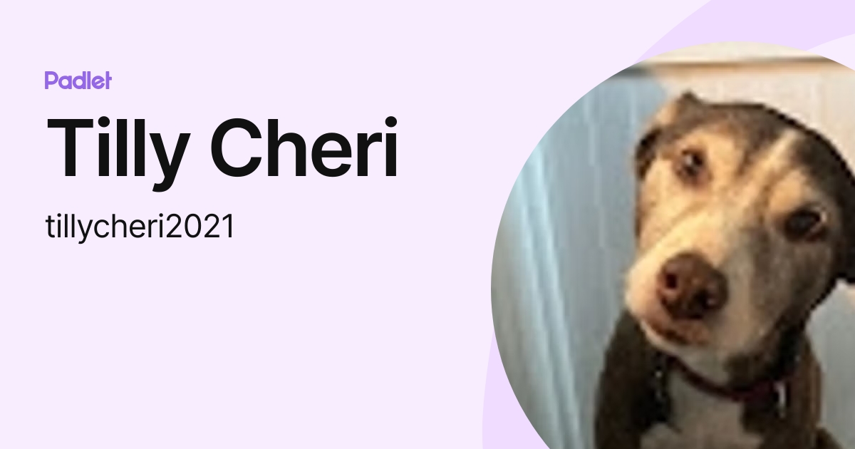 Tilly Cheri (tillycheri2021) profile | Padlet