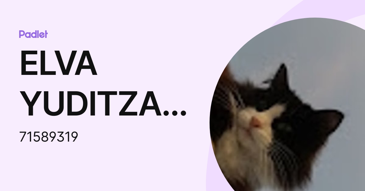 ELVA YUDITZA HANCCO QUIÑONEZ (71589319) profile | Padlet