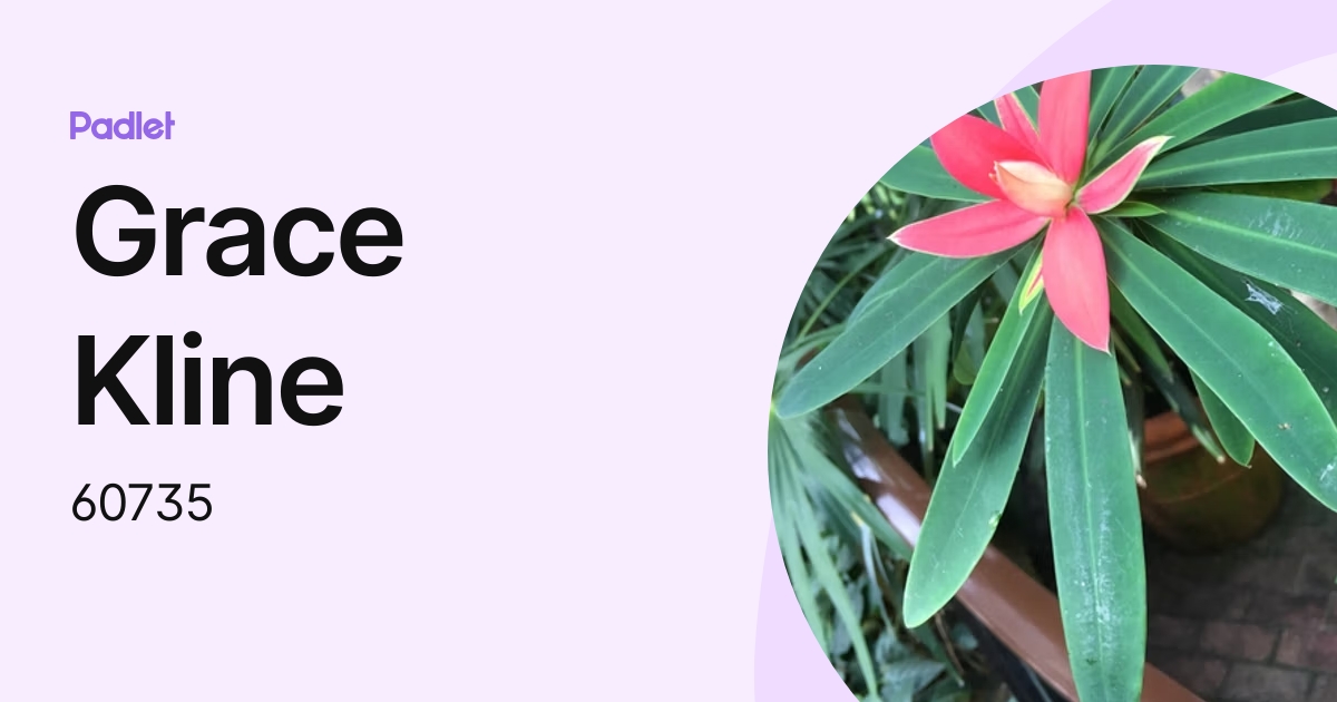 Grace Kline (60735) profile | Padlet