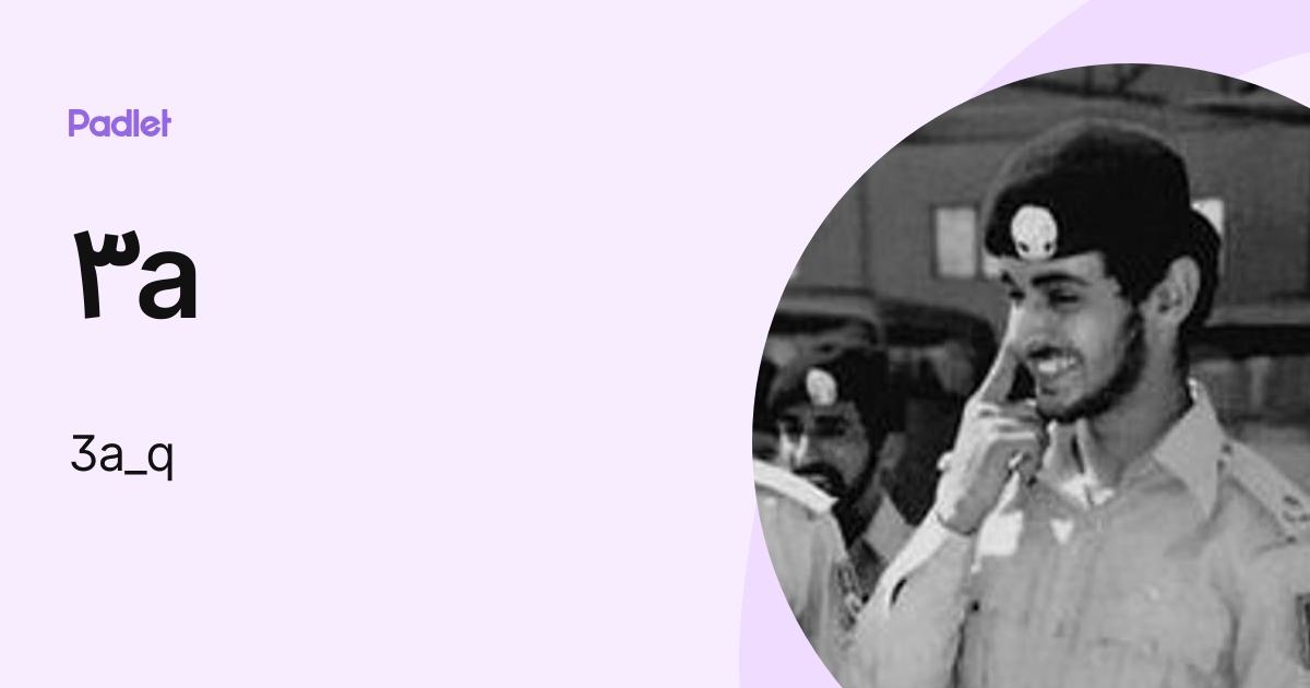 ٣a (3a_q) profile | Padlet