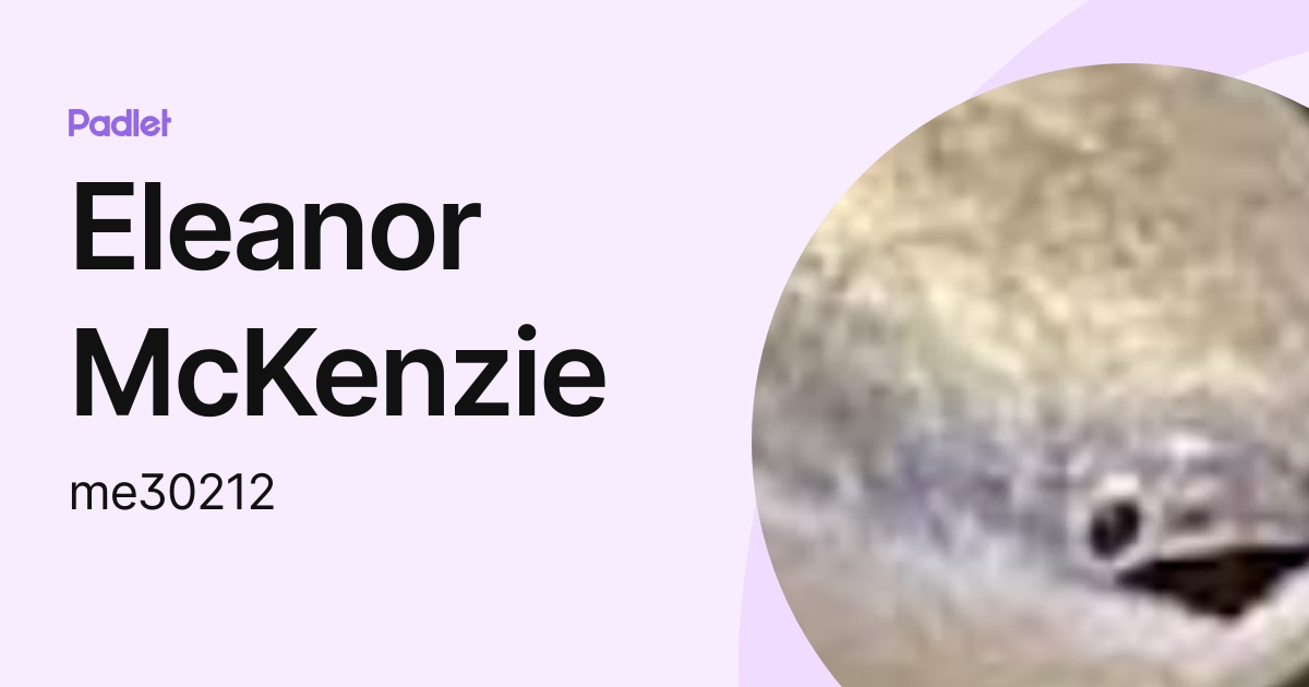 Eleanor McKenzie (me30212) profile | Padlet