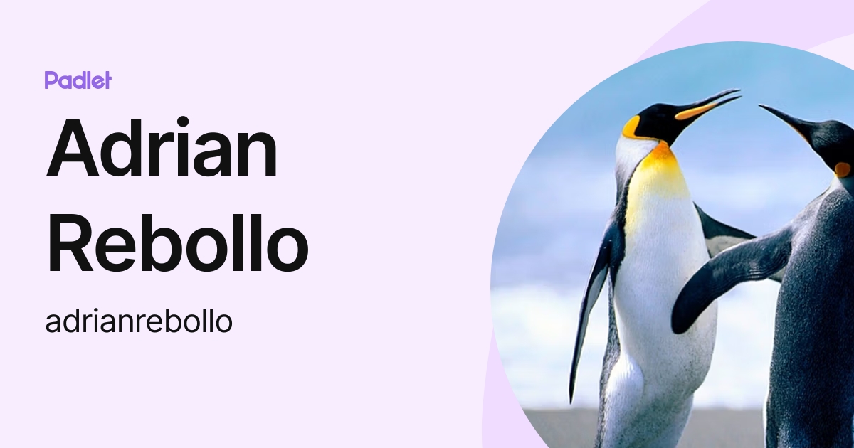 Adrian Rebollo (adrianrebollo) profile | Padlet