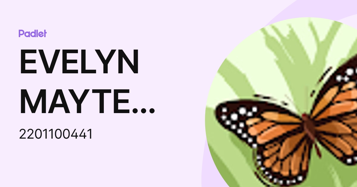 EVELYN MAYTE ALDANA SOTO (2201100441) profile | Padlet