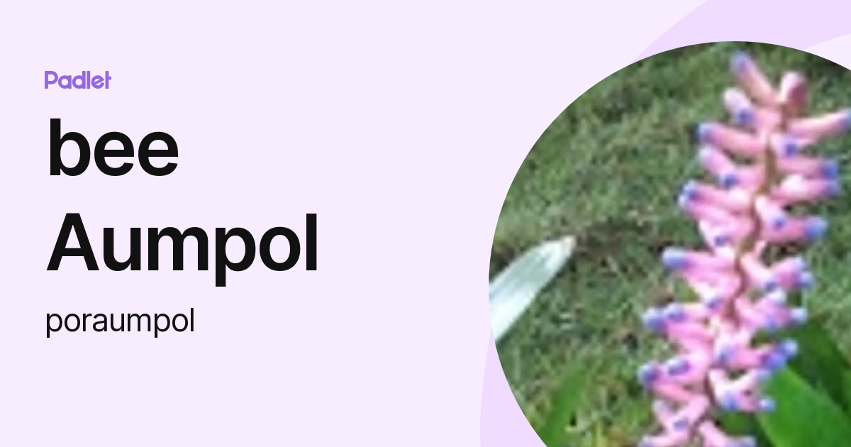 bee Aumpol (poraumpol) profile | Padlet