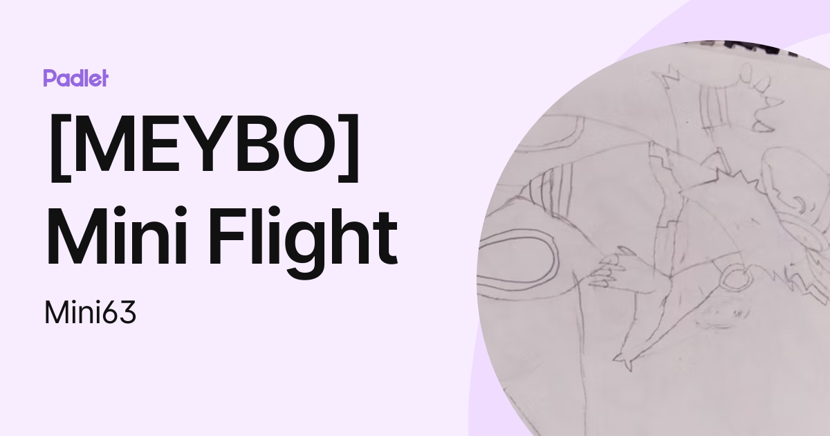 [MEYBO] Mini Flight (Mini63) profile | Padlet