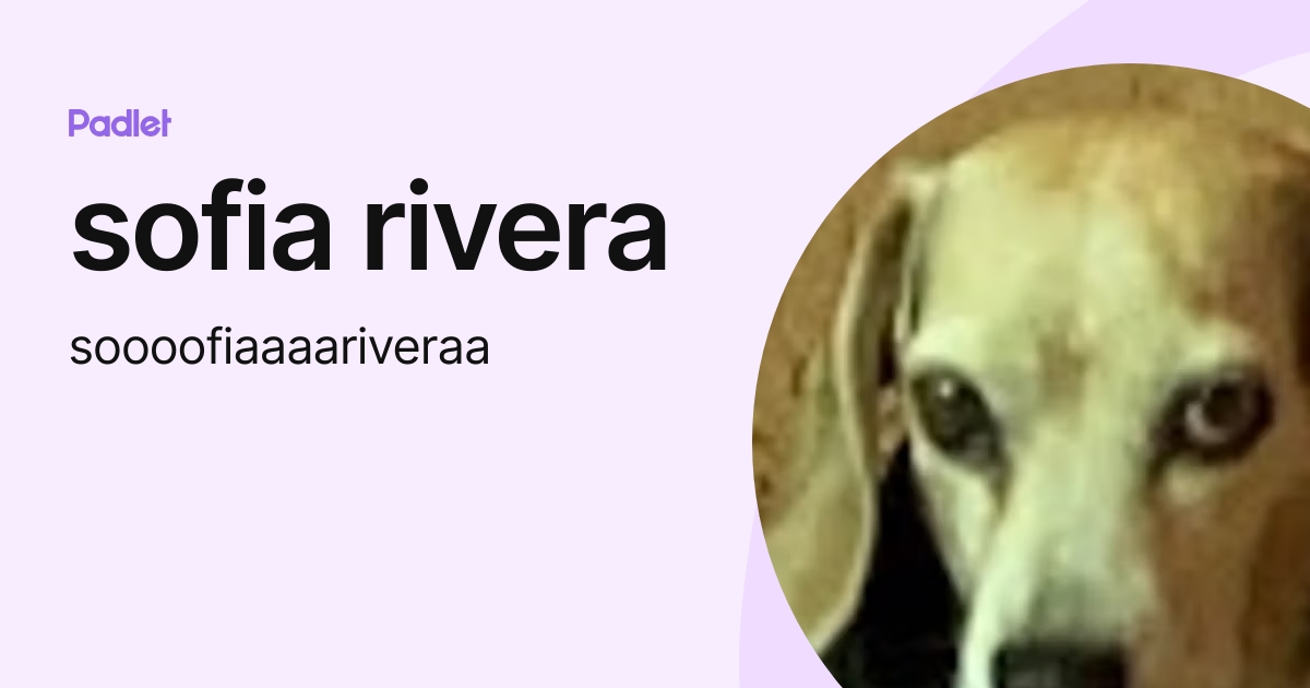 sofia rivera (soooofiaaaariveraa) profile | Padlet