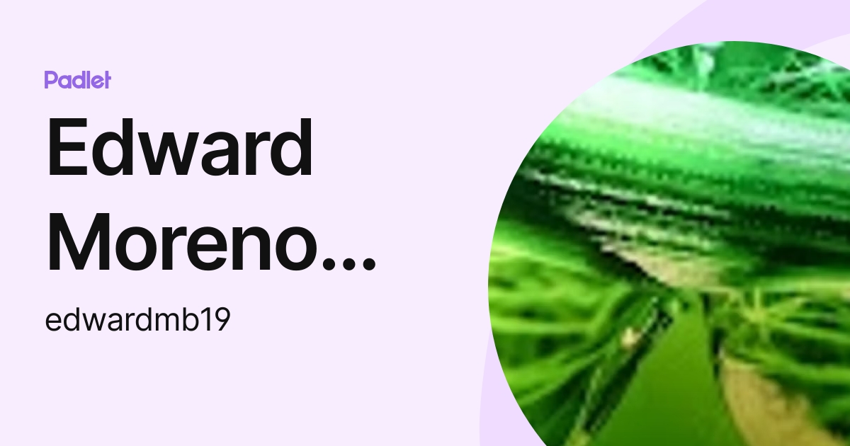 Edward Moreno Barco (edwardmb19) profile | Padlet