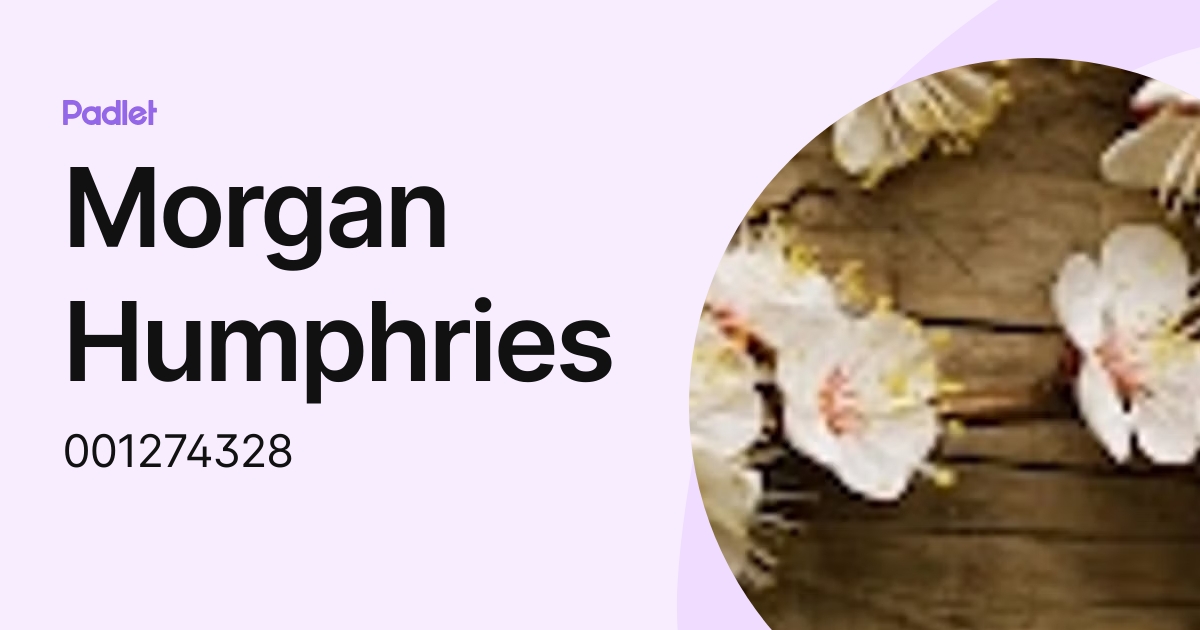 Morgan Humphries (001274328) profile | Padlet