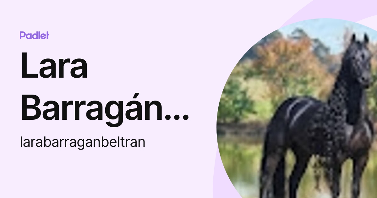 Lara Barragán Beltrán (larabarraganbeltran) profile | Padlet