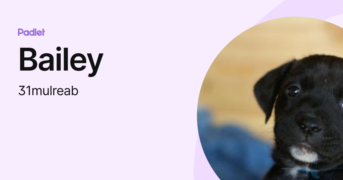 Bailey (31mulreab) profile | Padlet