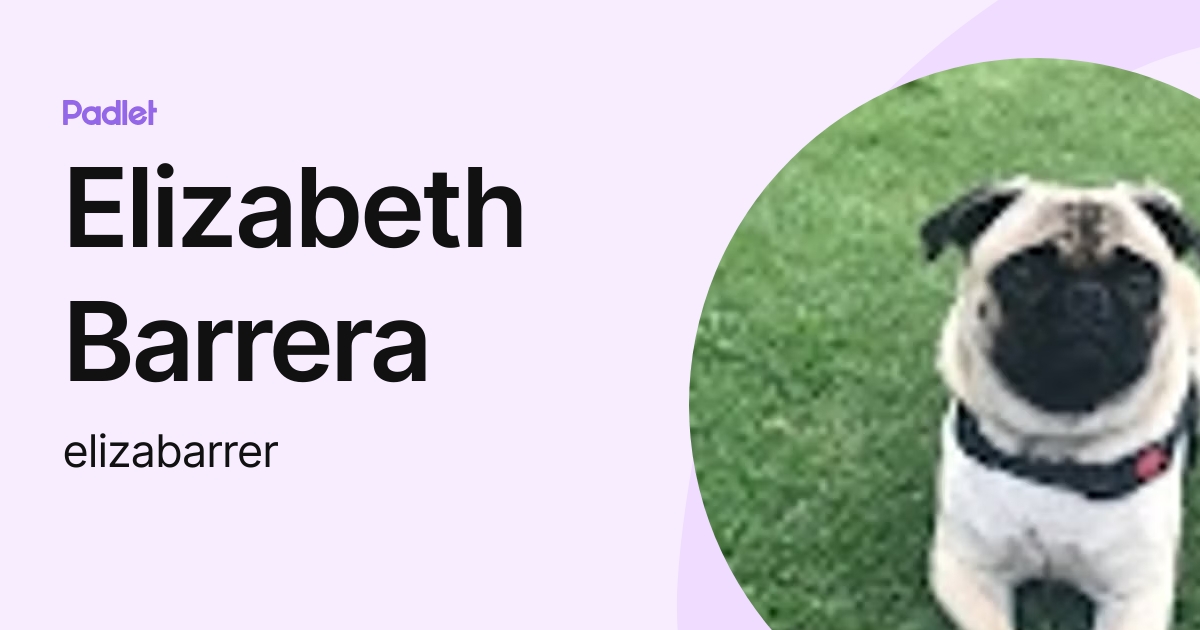 Elizabeth Barrera (elizabarrer) profile | Padlet