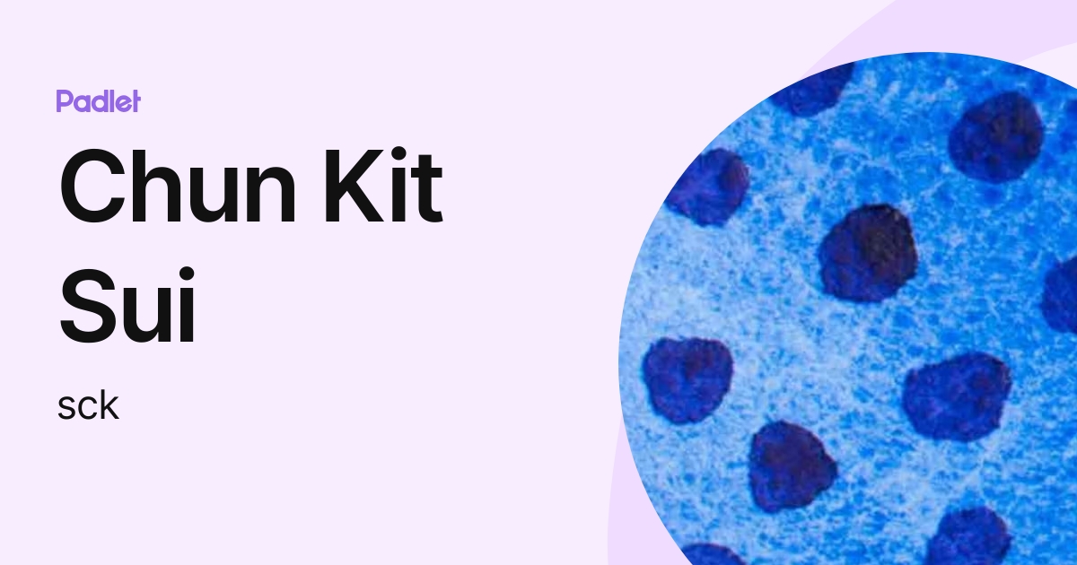 Chun Kit Sui Sck Profile Padlet