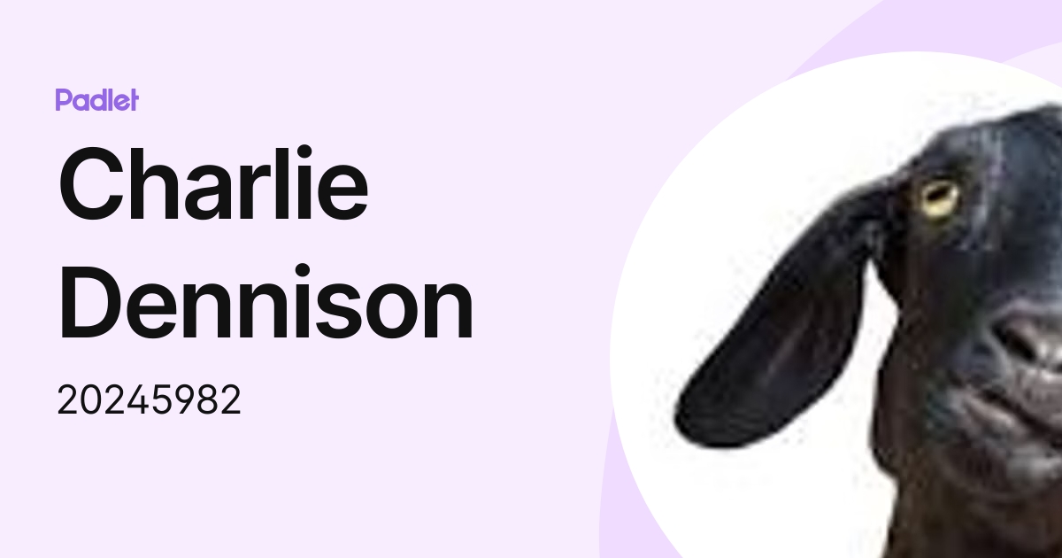 Charlie Dennison (20245982) profile | Padlet