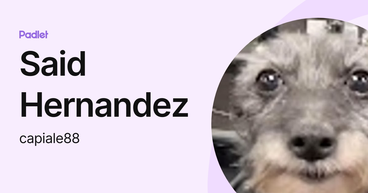 Said Hernandez (capiale88) profile | Padlet