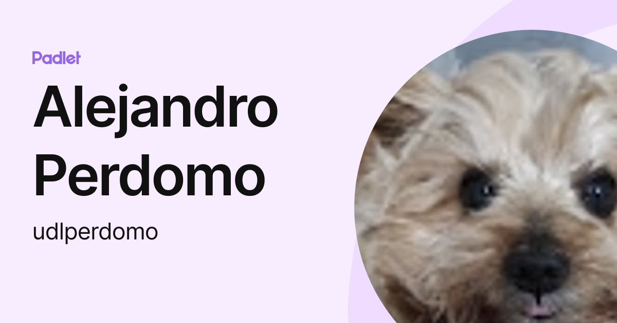 Alejandro Perdomo (udlperdomo) profile | Padlet