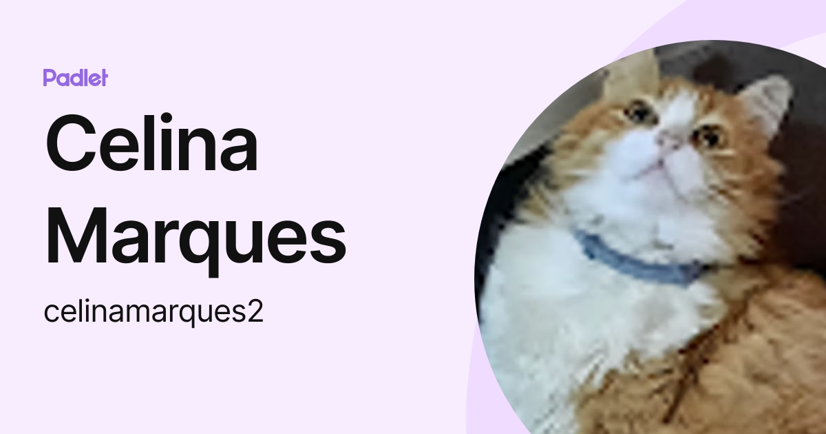 Celina Marques (celinamarques2) profile | Padlet