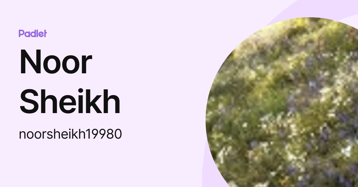 Noor Sheikh (noorsheikh19980) profile | Padlet