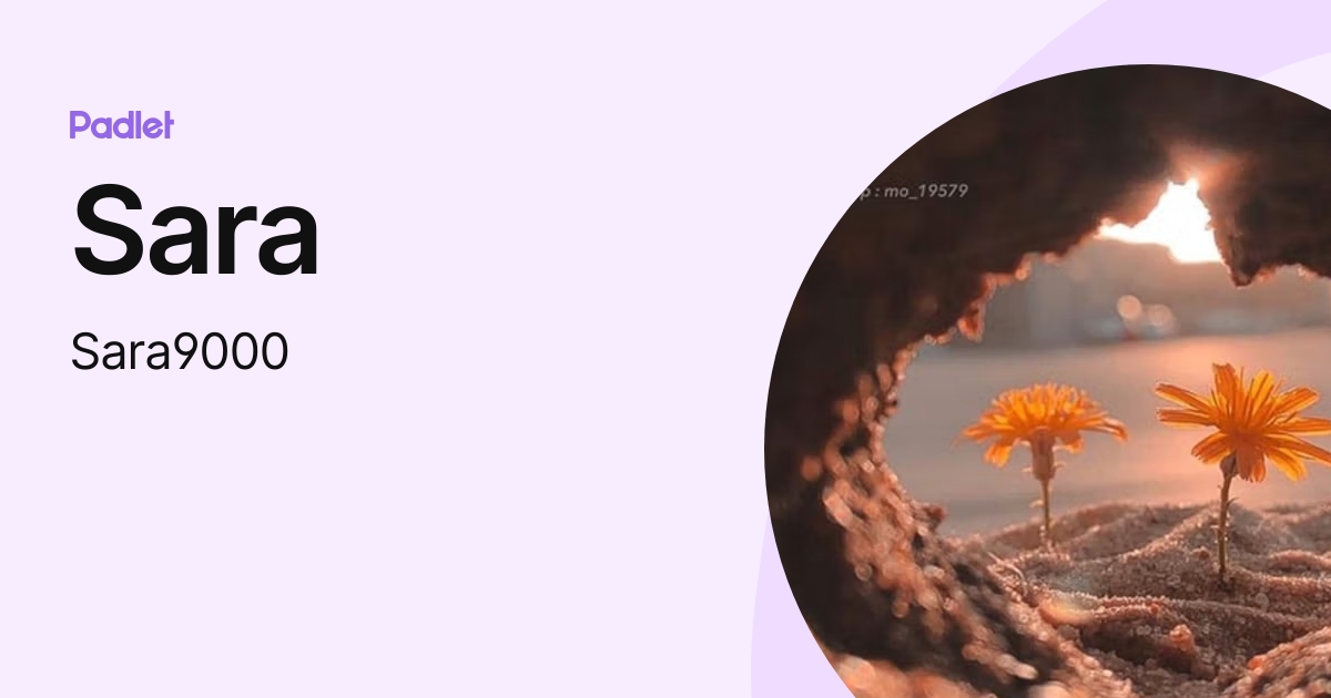 Sara (Sara9000) profile | Padlet