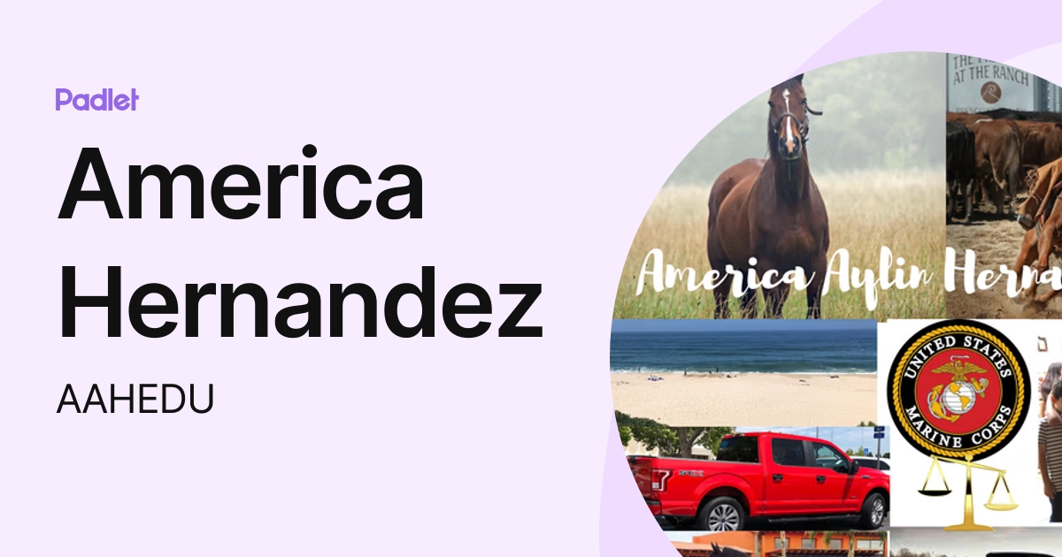 America Hernandez (AAHEDU) profile | Padlet