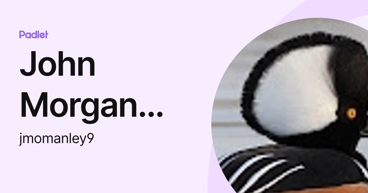 John Morgan Manley (jmomanley9) profile | Padlet