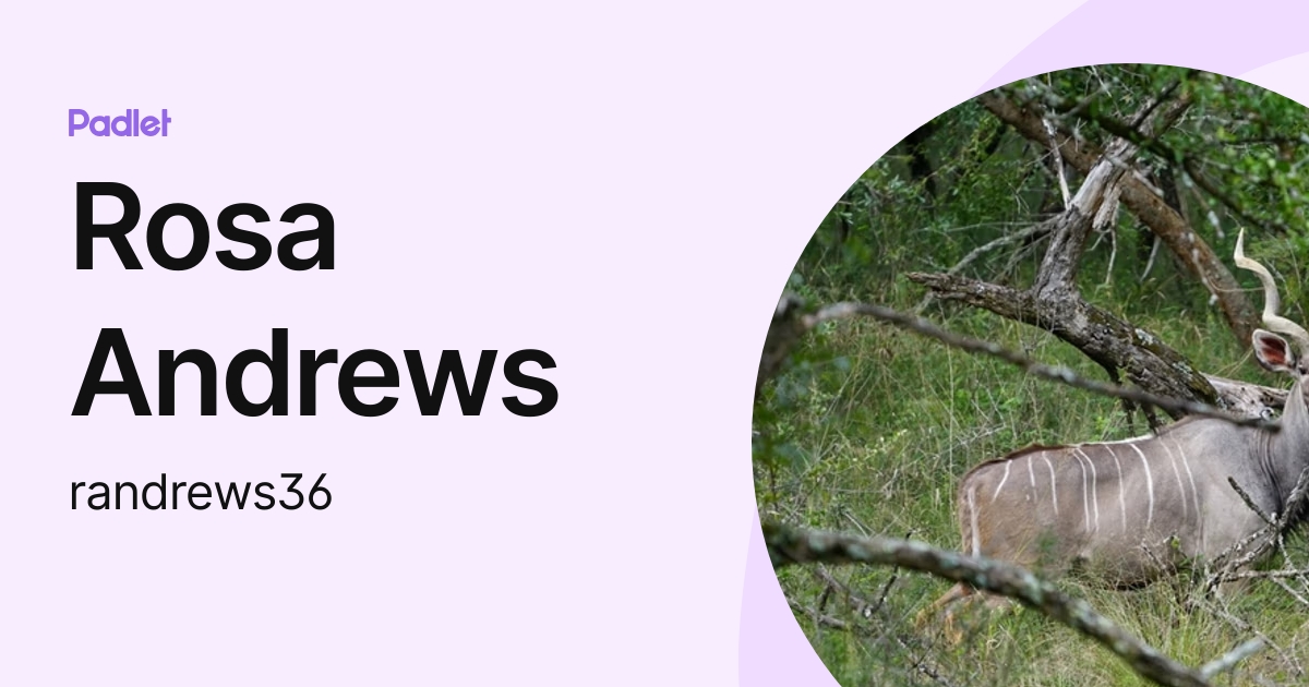 Rosa Andrews (randrews36) profile | Padlet