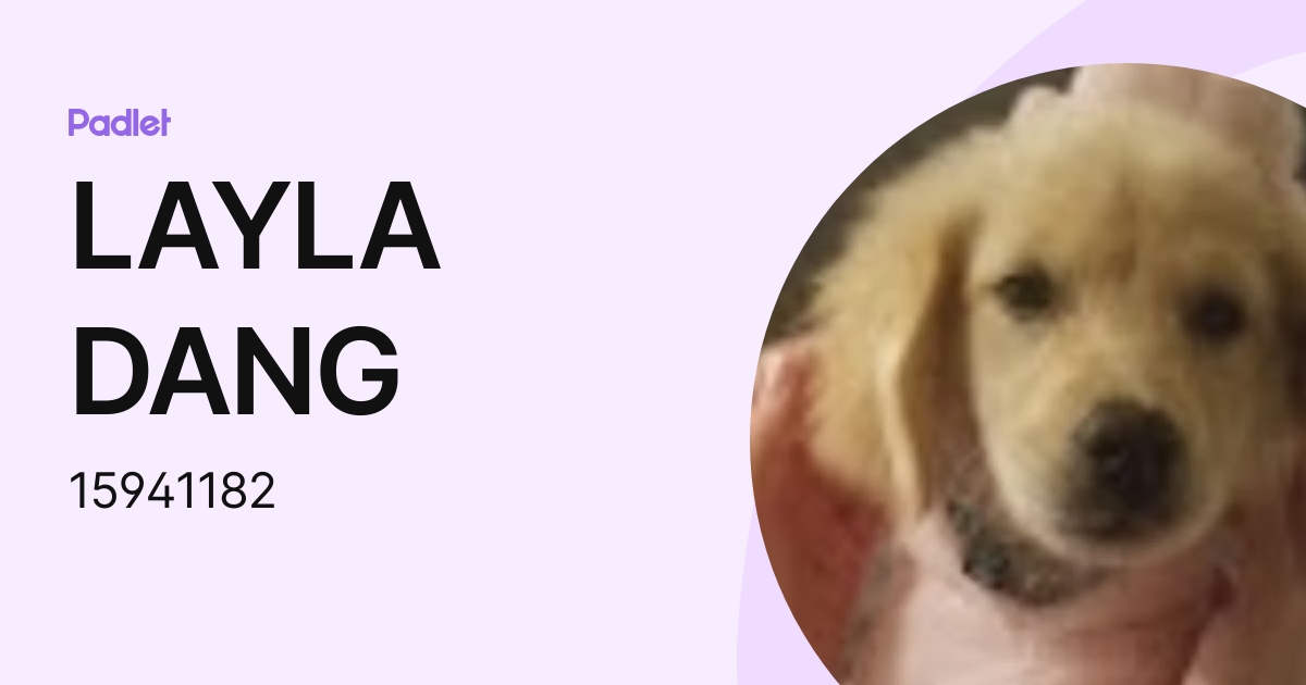 LAYLA DANG (15941182) profile | Padlet