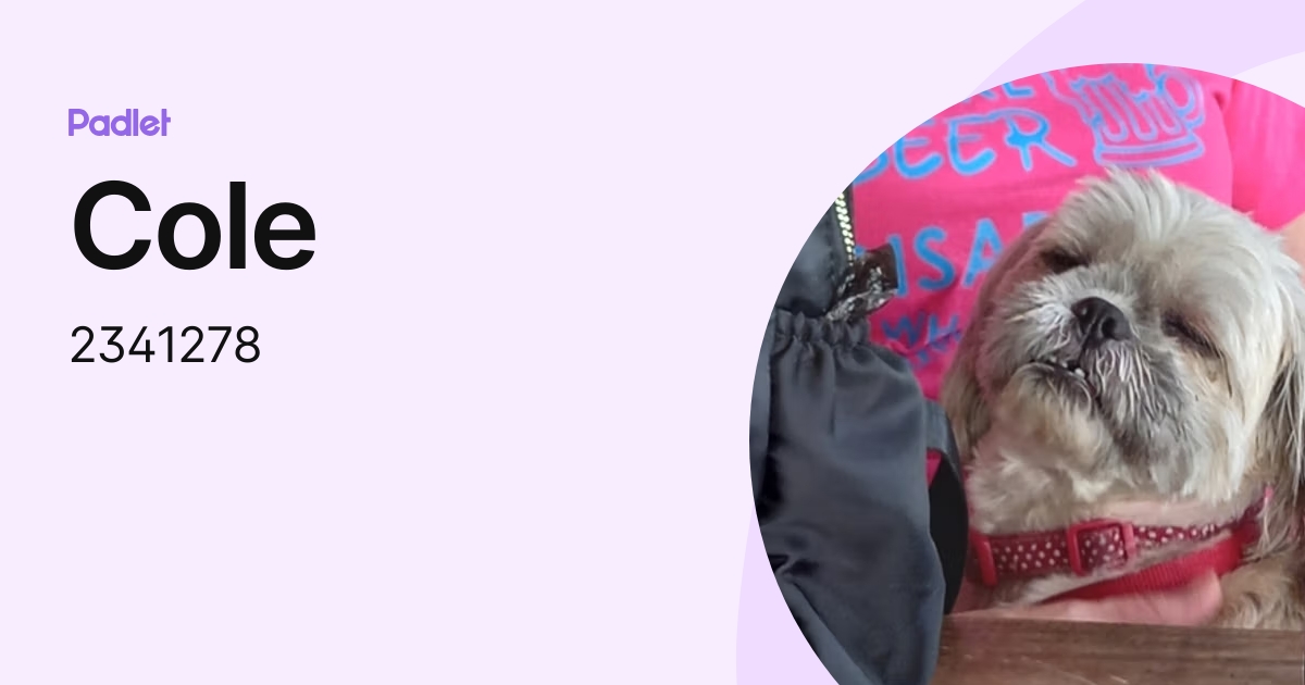 Cole (2341278) profile | Padlet