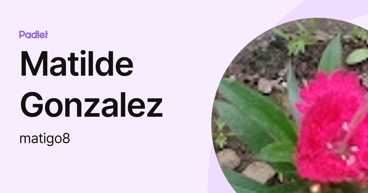 Matilde Gonzalez (matigo8) profile | Padlet