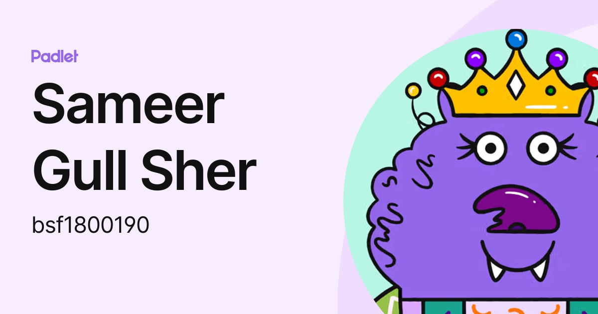 Sameer Gull Sher (bsf1800190) profile | Padlet