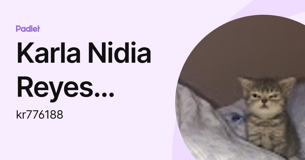 Karla Nidia Reyes Mena (kr776188) profile | Padlet