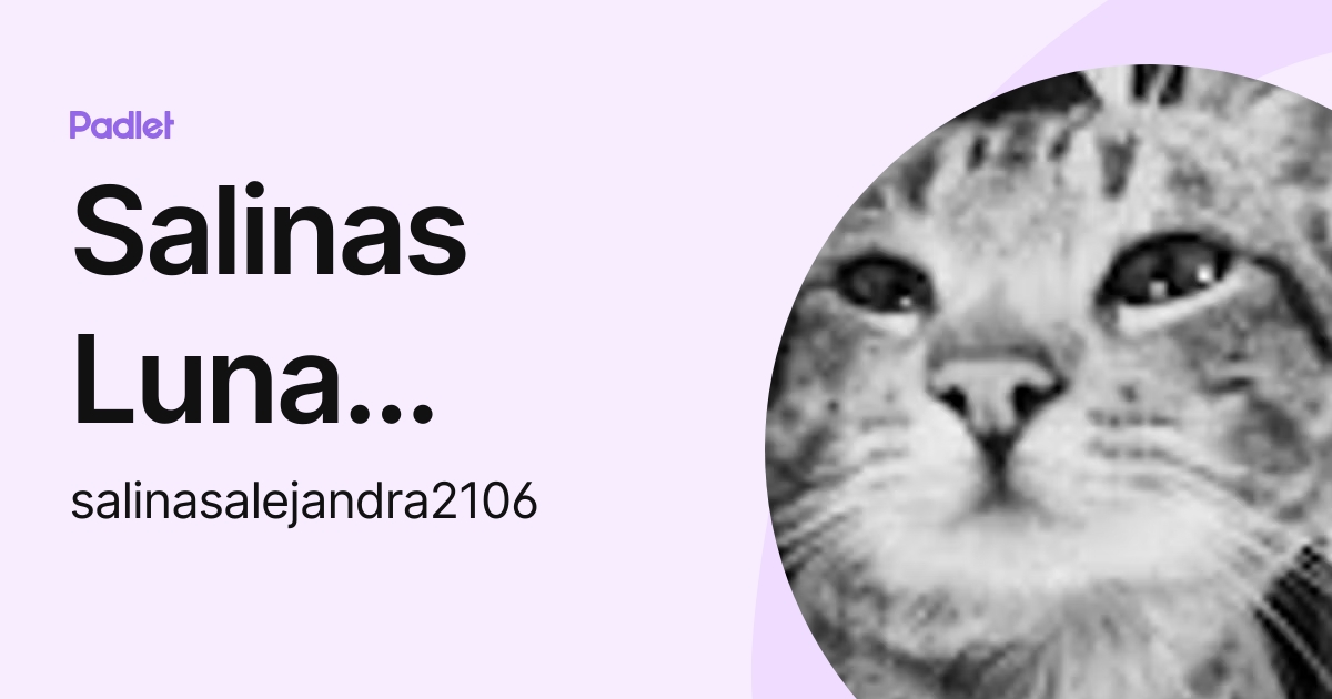 Salinas Luna Alejandra (salinasalejandra2106) profile | Padlet