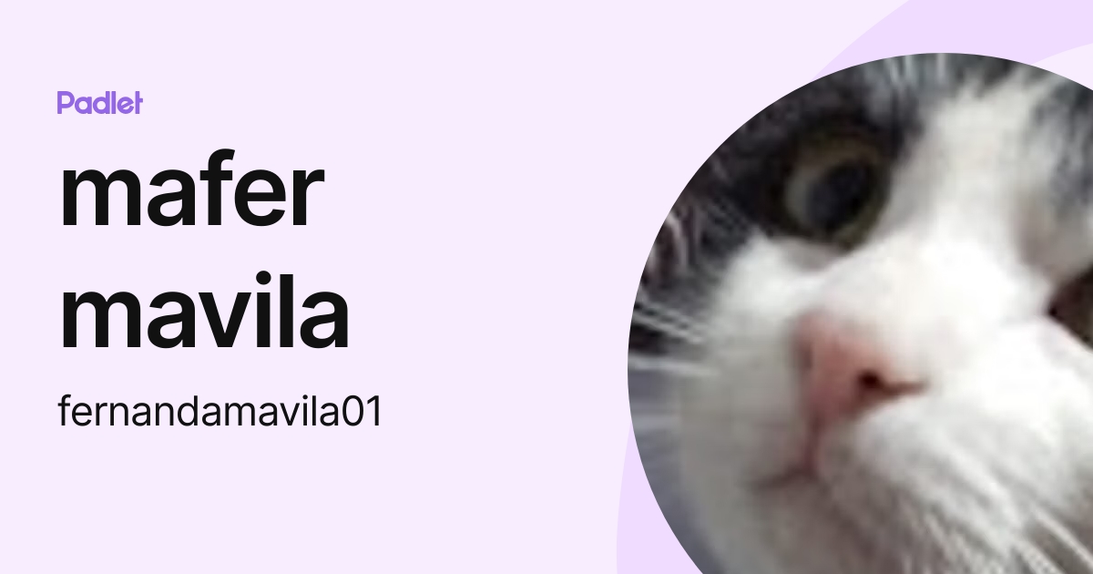 mafer mavila (fernandamavila01) profile | Padlet