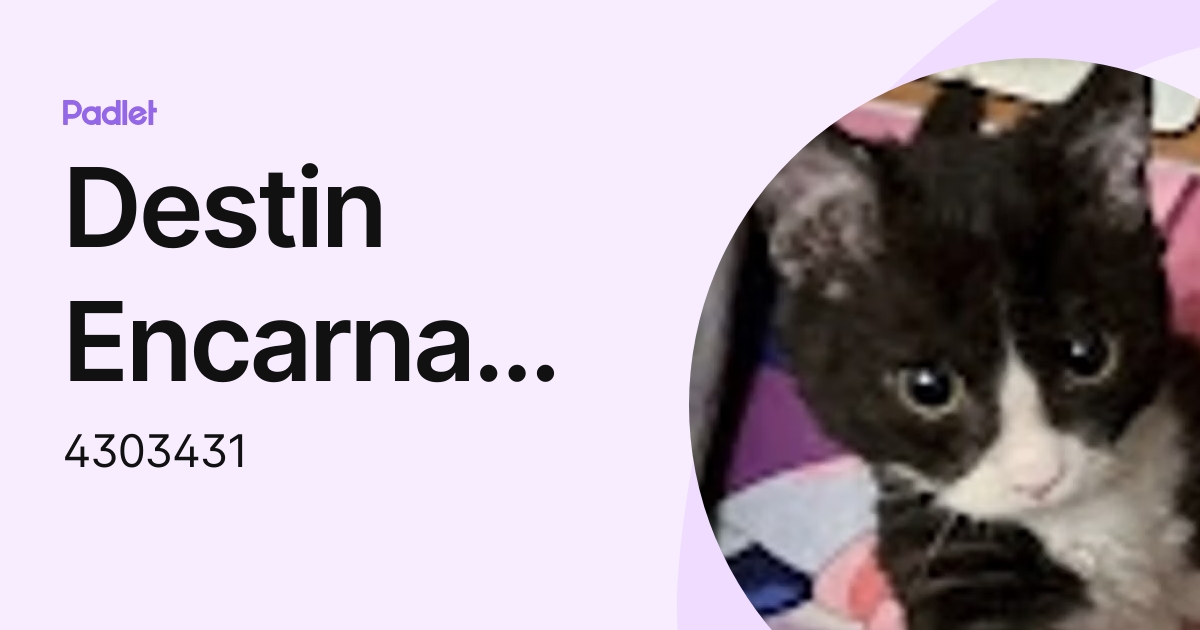 Destin Encarnacion (4303431) profile | Padlet