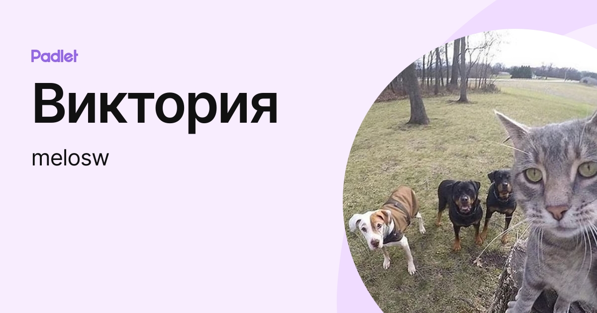 Bиктория (melosw) profile | Padlet