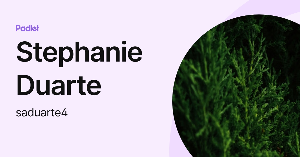 Stephanie Duarte (saduarte4) profile | Padlet