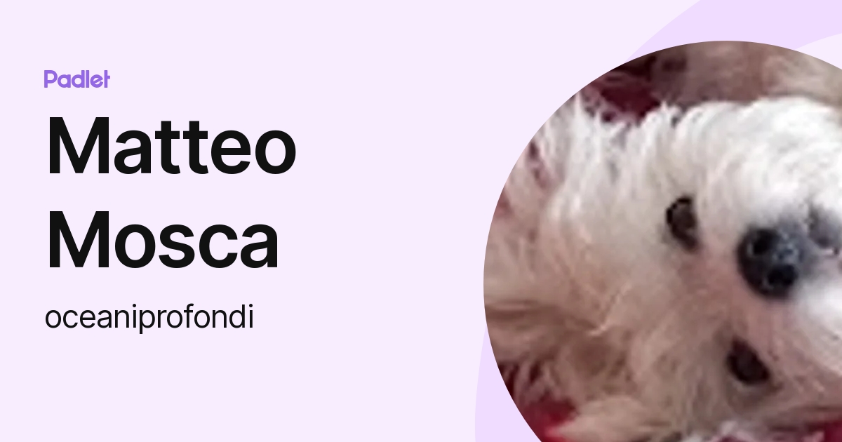 Matteo Mosca (oceaniprofondi) profile | Padlet