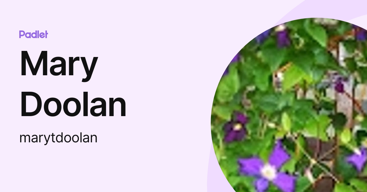 Mary Doolan (marytdoolan) profile | Padlet