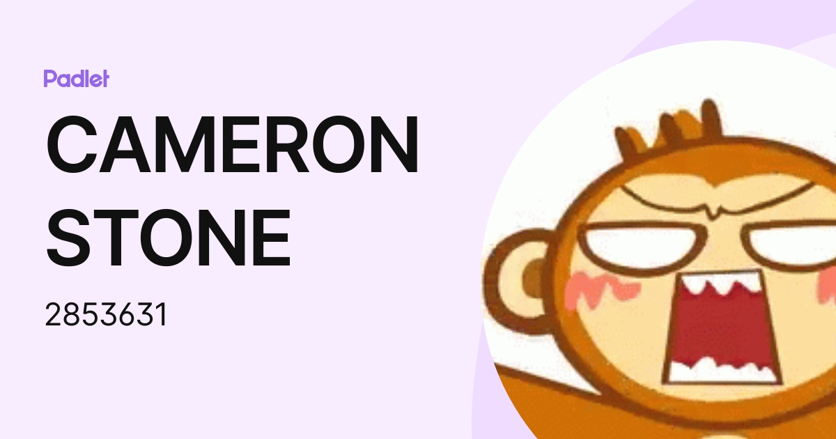 CAMERON STONE (2853631) profile | Padlet