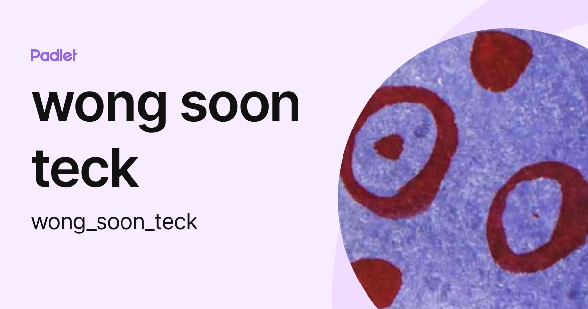 wong soon teck (wong_soon_teck) profile | Padlet