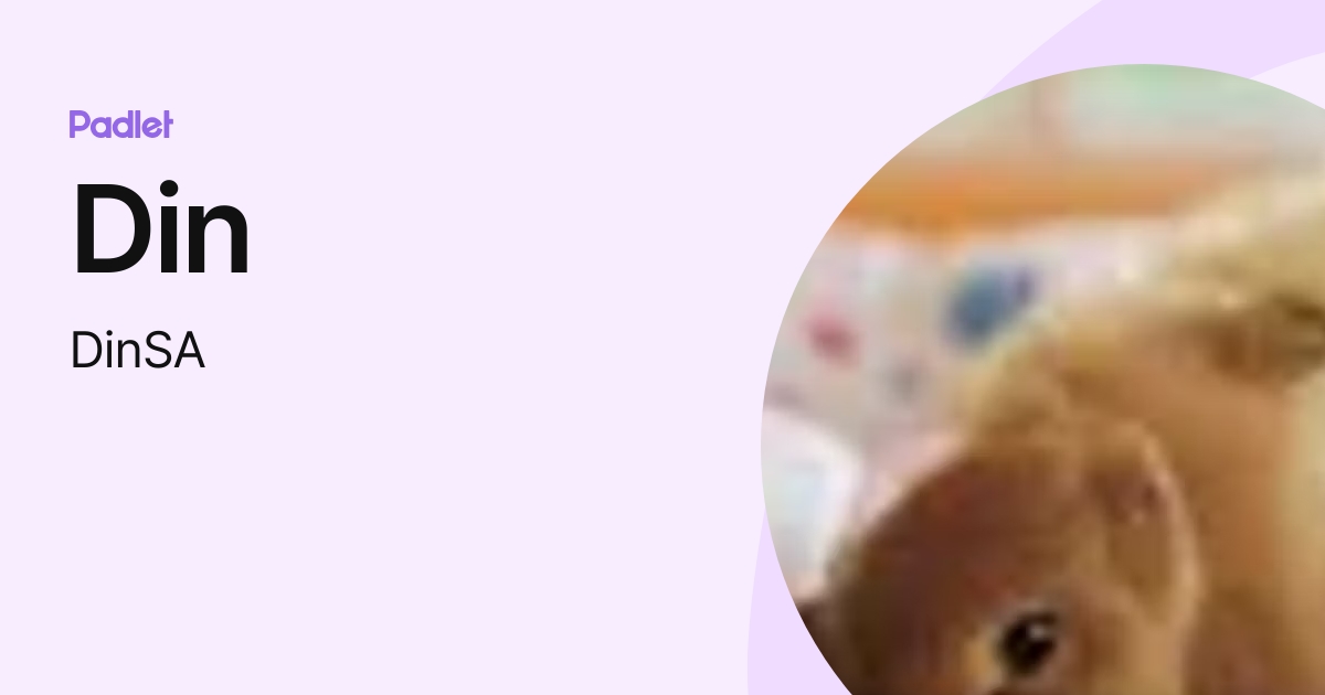 Din (DinSA) profile | Padlet