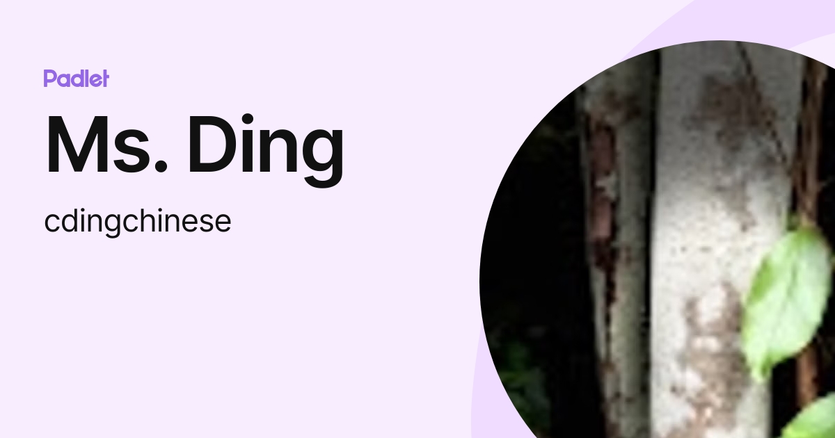 Ms. Ding (cdingchinese) profile | Padlet