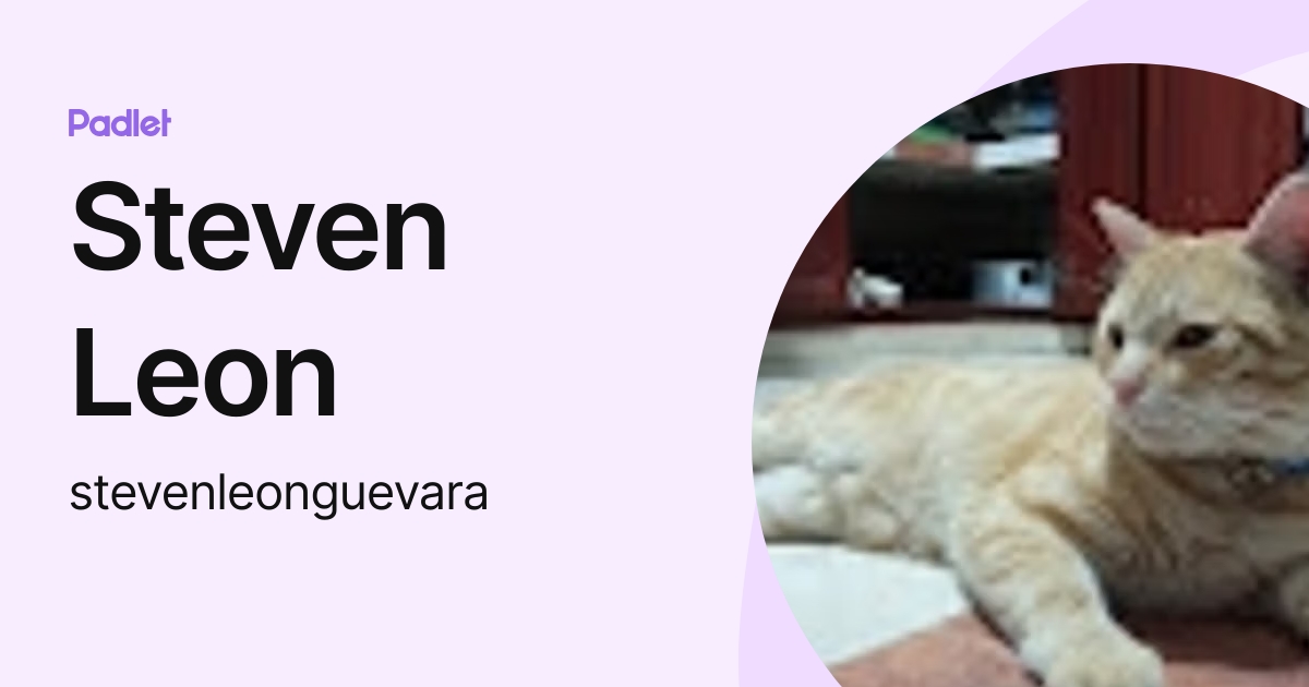 Steven Leon (stevenleonguevara) profile | Padlet