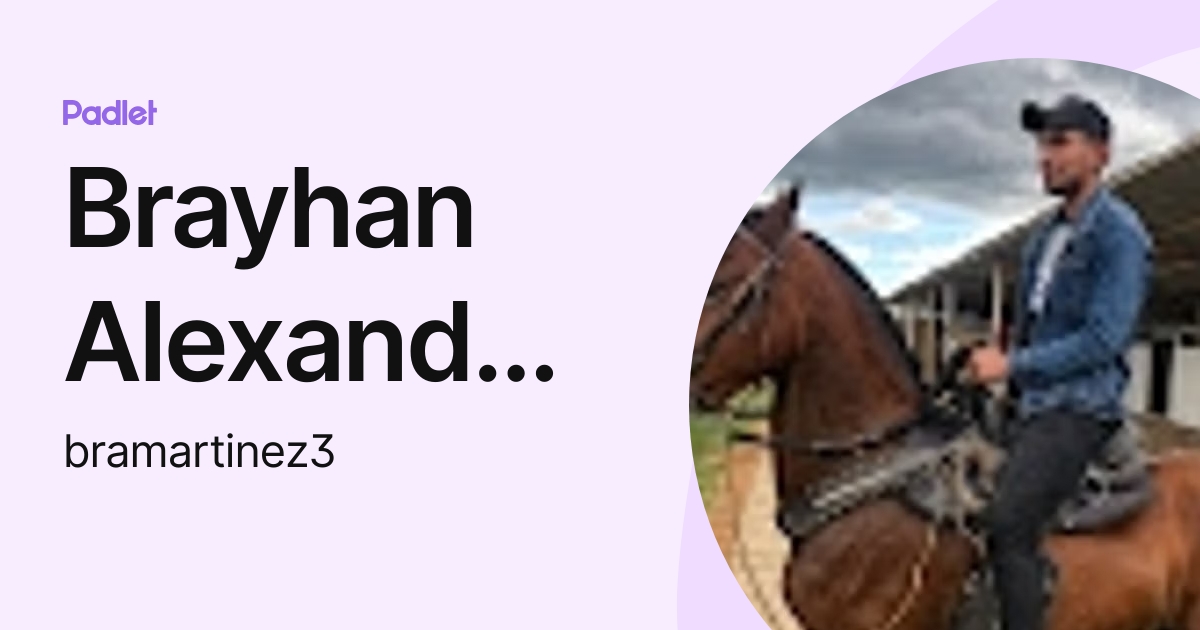 Brayhan Alexander Martinez Zorro (bramartinez3) profile | Padlet