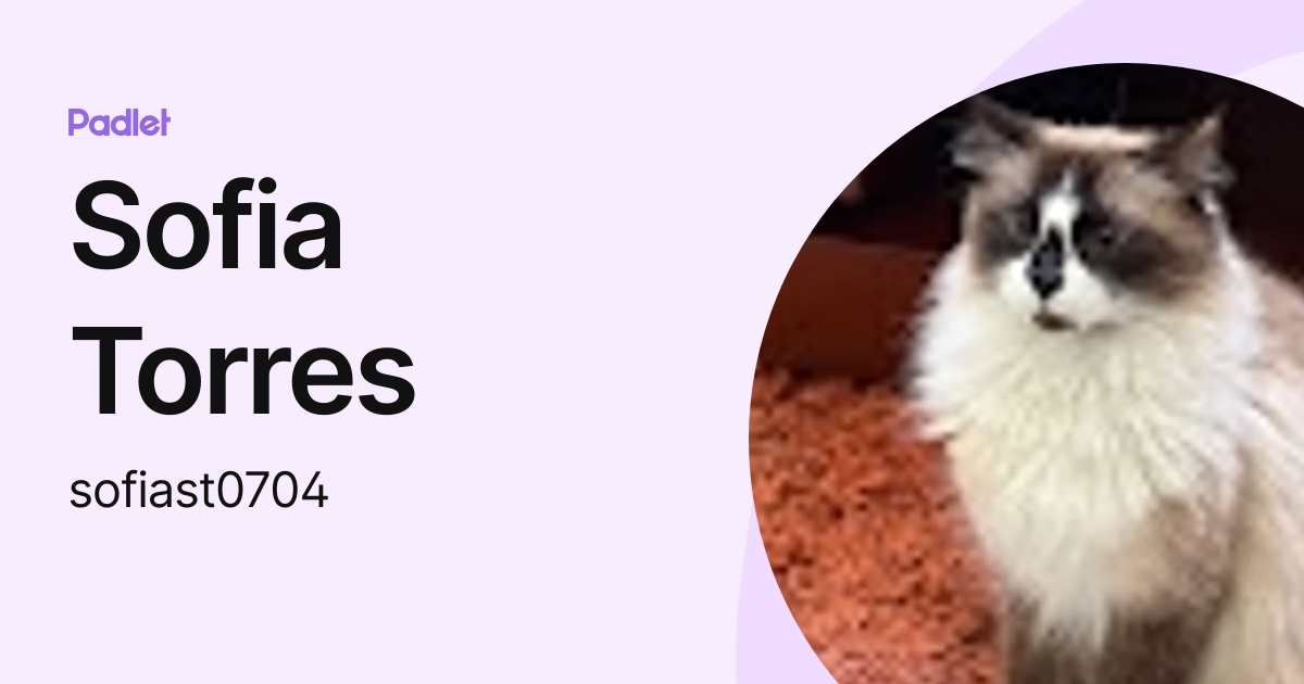 Sofia Torres (sofiast0704) profile | Padlet