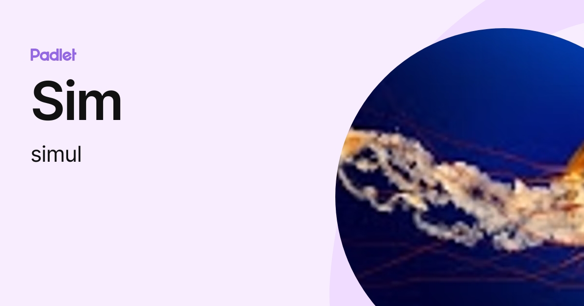 Sim (simul) profile | Padlet